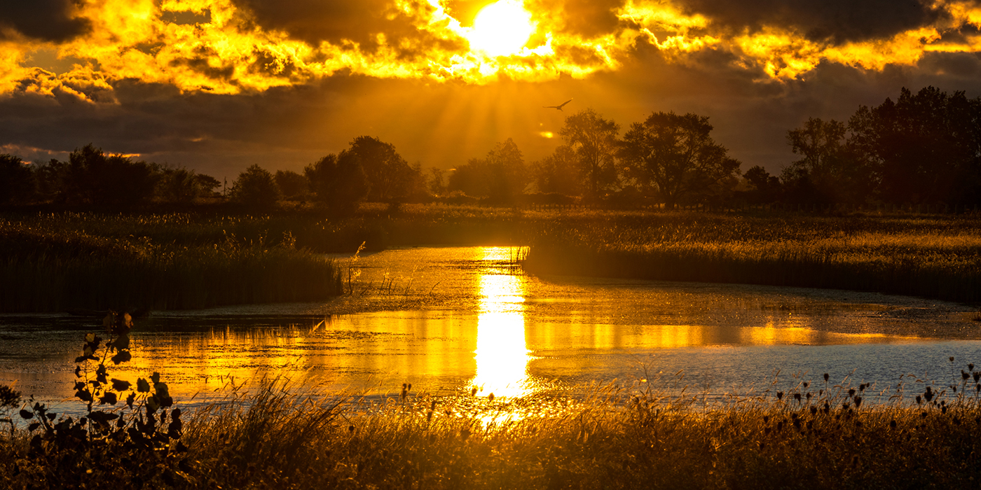 Howard Marsh Metropark | Metroparks Toledo